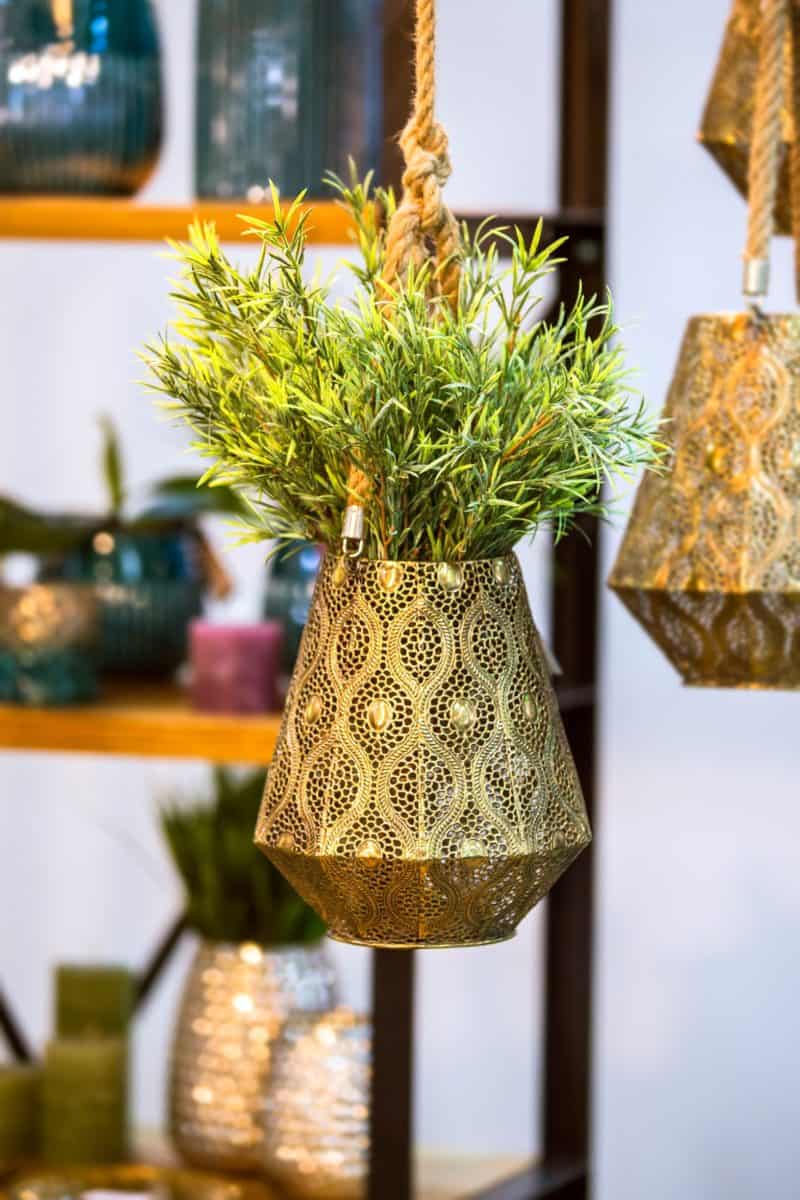 A Guide to Hanging Baskets for Your Home - Beneva Flowers