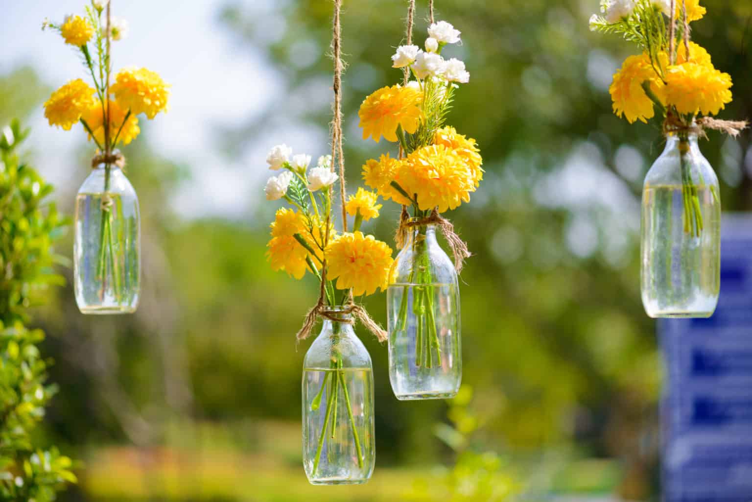 Summer Flower Decor Tips for a Perfect Backyard Cookout - Beneva Flowers