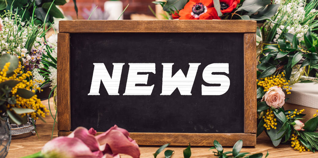 BENEVA FLOWERS REBRANDS AS BENEVA - Beneva Flowers